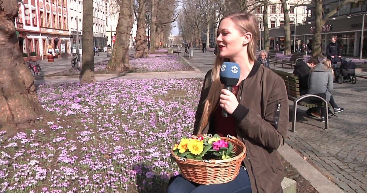 Lisa bringt den Lenz – Frühblüher (Video) | SACHSEN FERNSEHEN