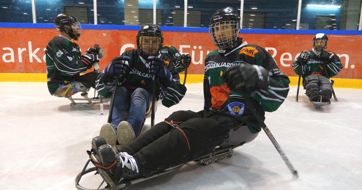 „Hau den Lucas“ #1 – Sledgehockey Action bei den Cardinals | Sachsen ...