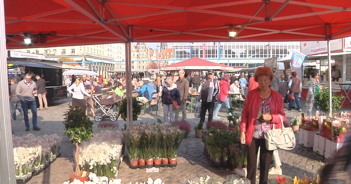 Die lautesten Marktschreier sind wieder in Dresden | Sachsen Fernsehen