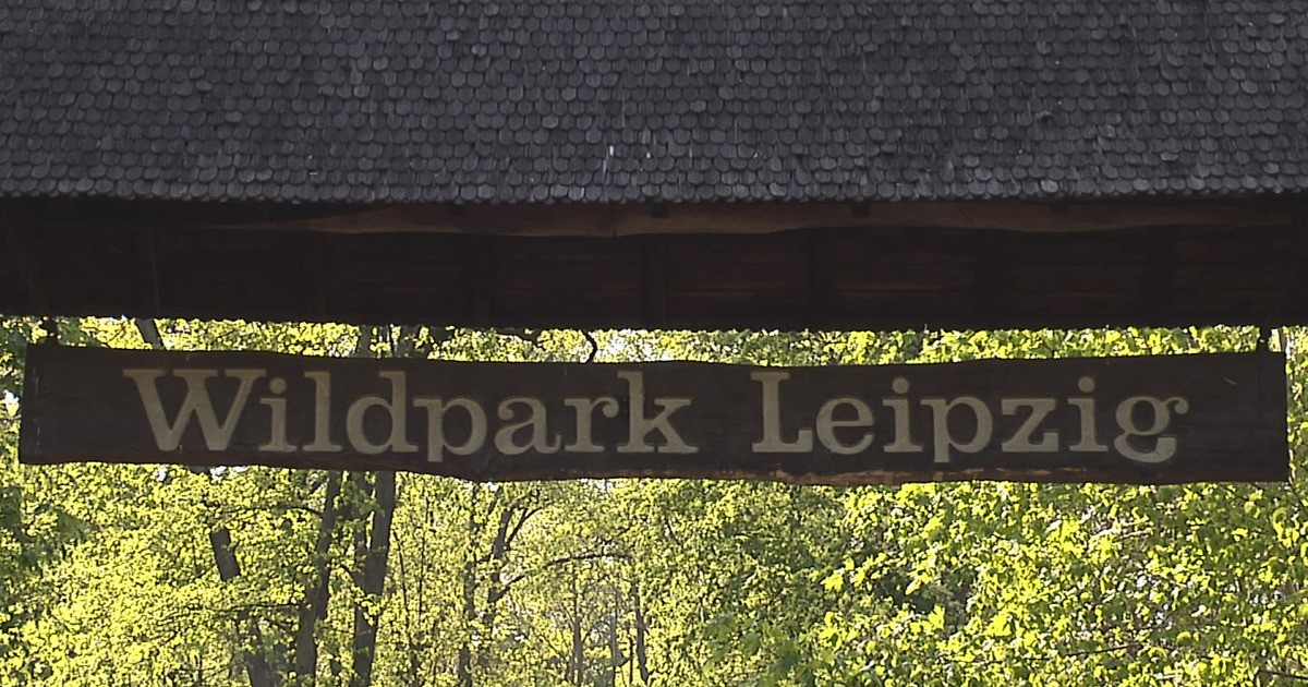 Tiere und Pflanzen entdecken statt Eier suchen