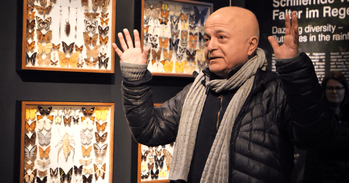 Dresden: Neue Ausstellung "Amazonien" von Yadegar Asisi eröffnet