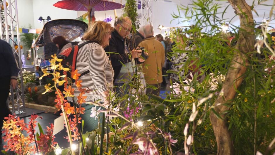 58.000 Menschen besuchen blütenreichste Messe „Dresdner Ostern“ | SACHSEN FERNSEHEN