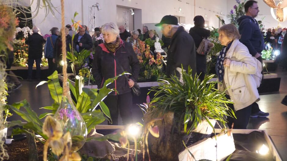 58.000 Menschen besuchen blütenreichste Messe „Dresdner Ostern“ | SACHSEN FERNSEHEN