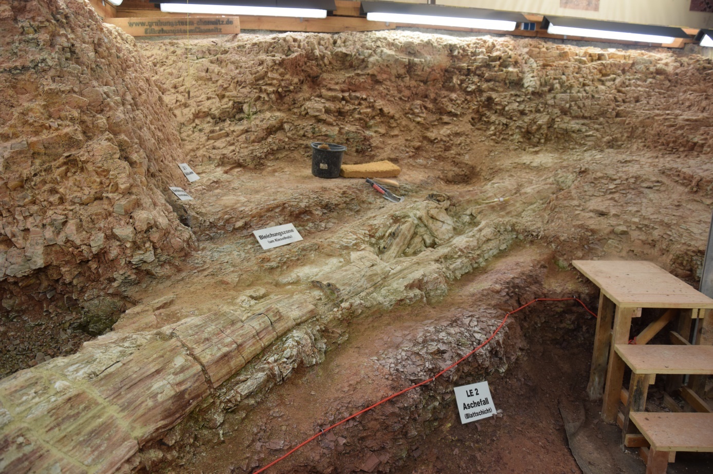 Tag des Geotops am „Fenster in die Erdgeschichte“ | SACHSEN FERNSEHEN